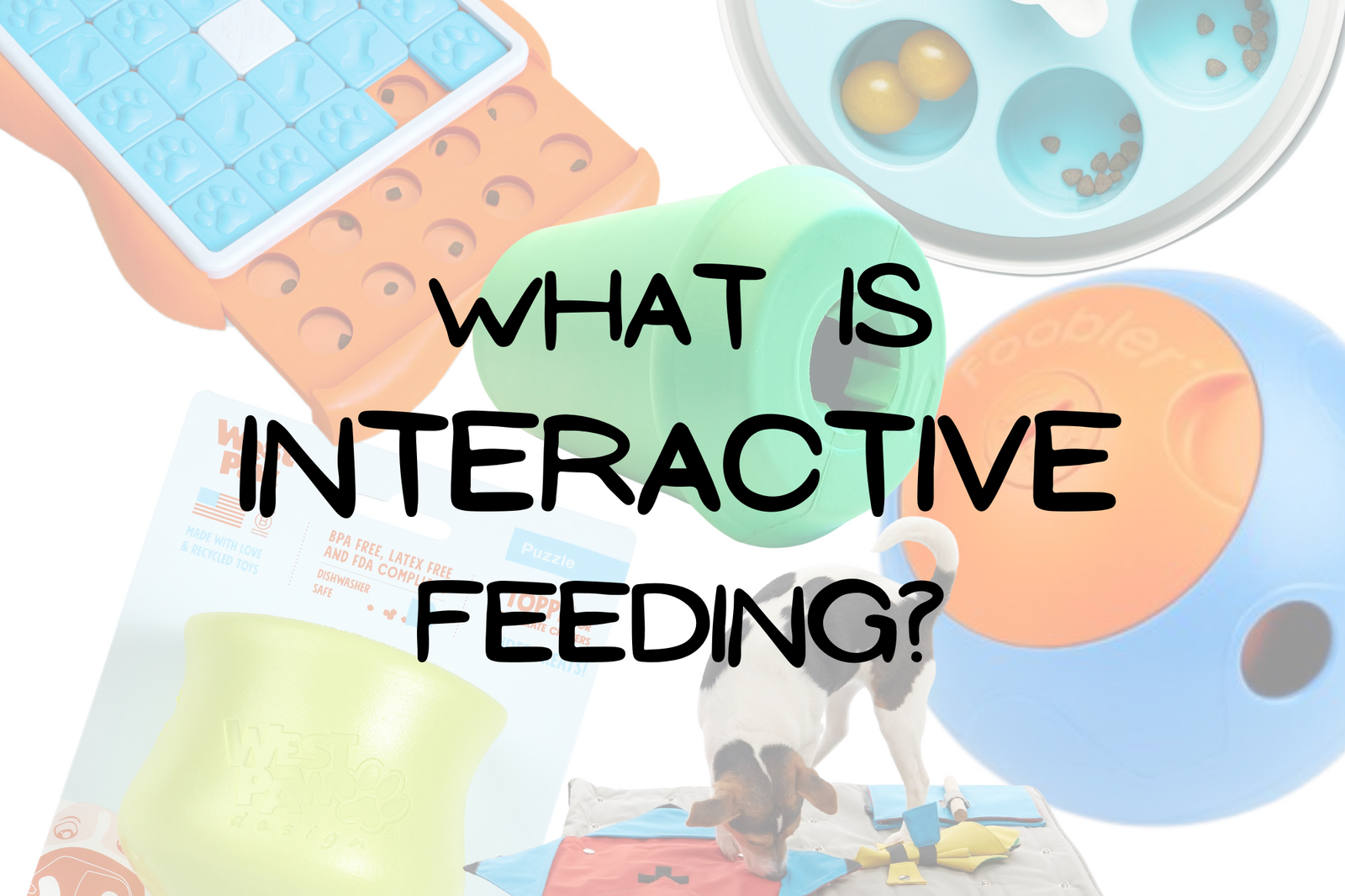 What is Interactive Feeding? – RINGLEADER PET PRODUCTS